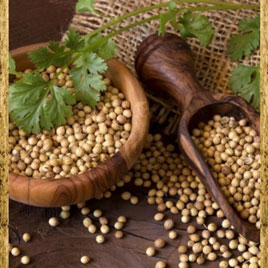 Spices – ZAIN