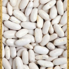 Pulses – ZAIN